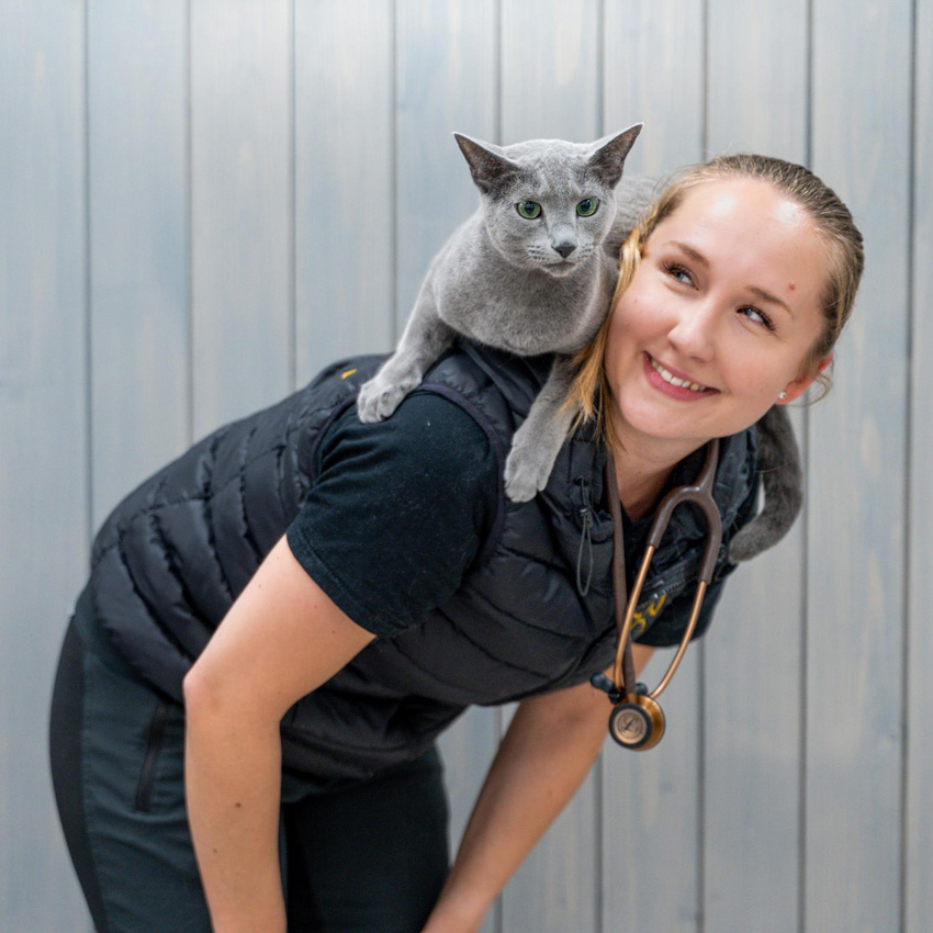 Eläinlääkäri Tornio | Eläinklinikka Väärti